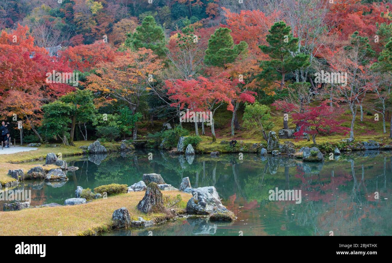 Tenryuji Temple garden with full autumn colors foliage Stock Photo - Alamy