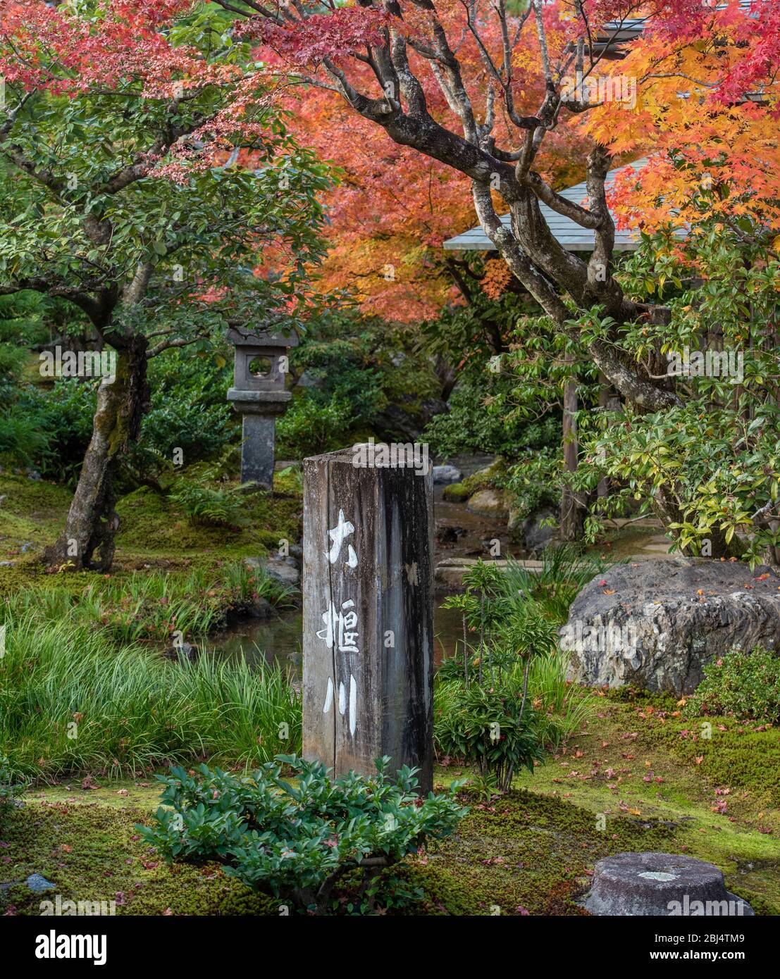 Tenryuji Temple garden with full autumn colors foliage Stock Photo - Alamy