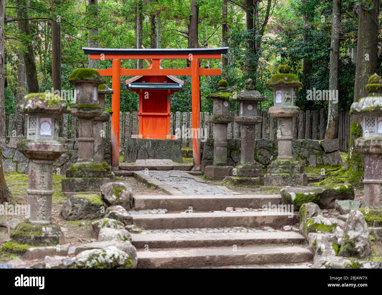 A tori gate and stone lanterns on the path that leads to Kasuga Taisha ...