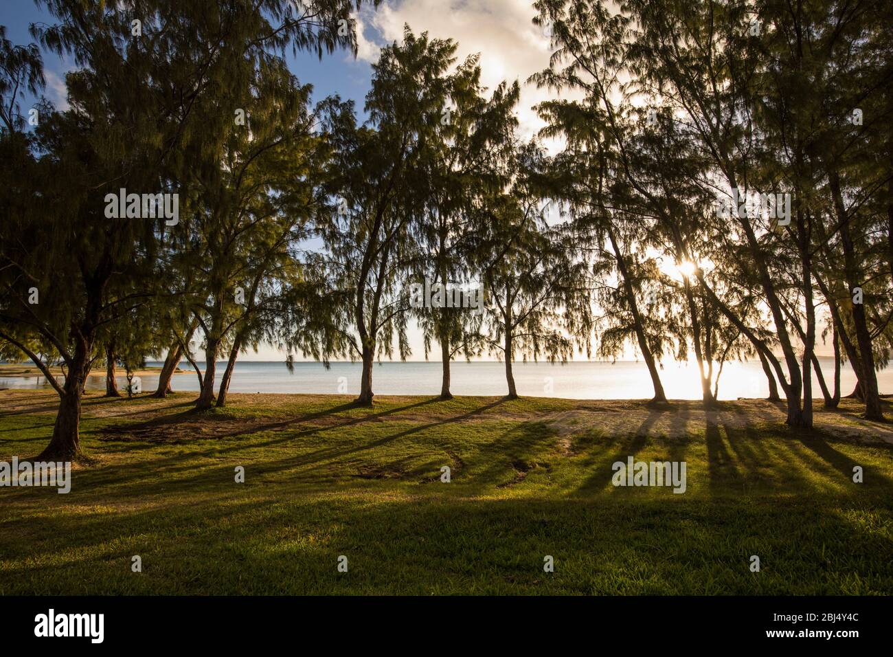 The setting sun shines through the trees of a remote beach on the ...