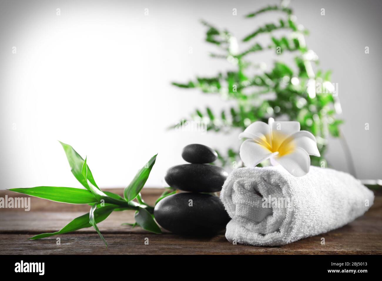 Beautiful spa concept on white background Stock Photo - Alamy