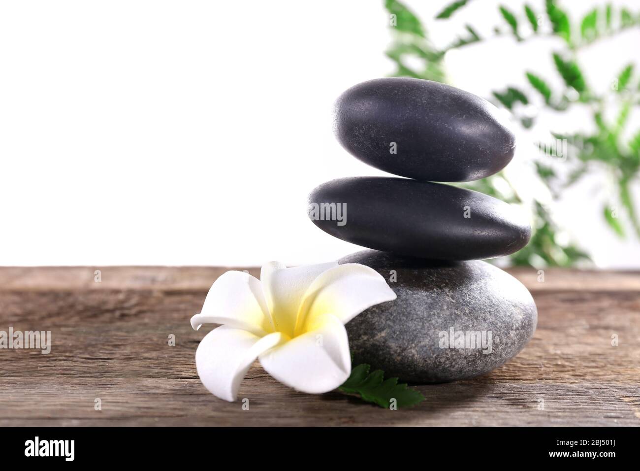 Beautiful spa concept on white background Stock Photo - Alamy