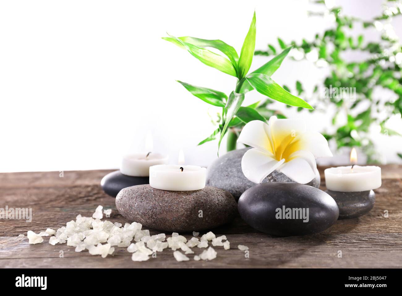 Beautiful spa concept on white background Stock Photo - Alamy