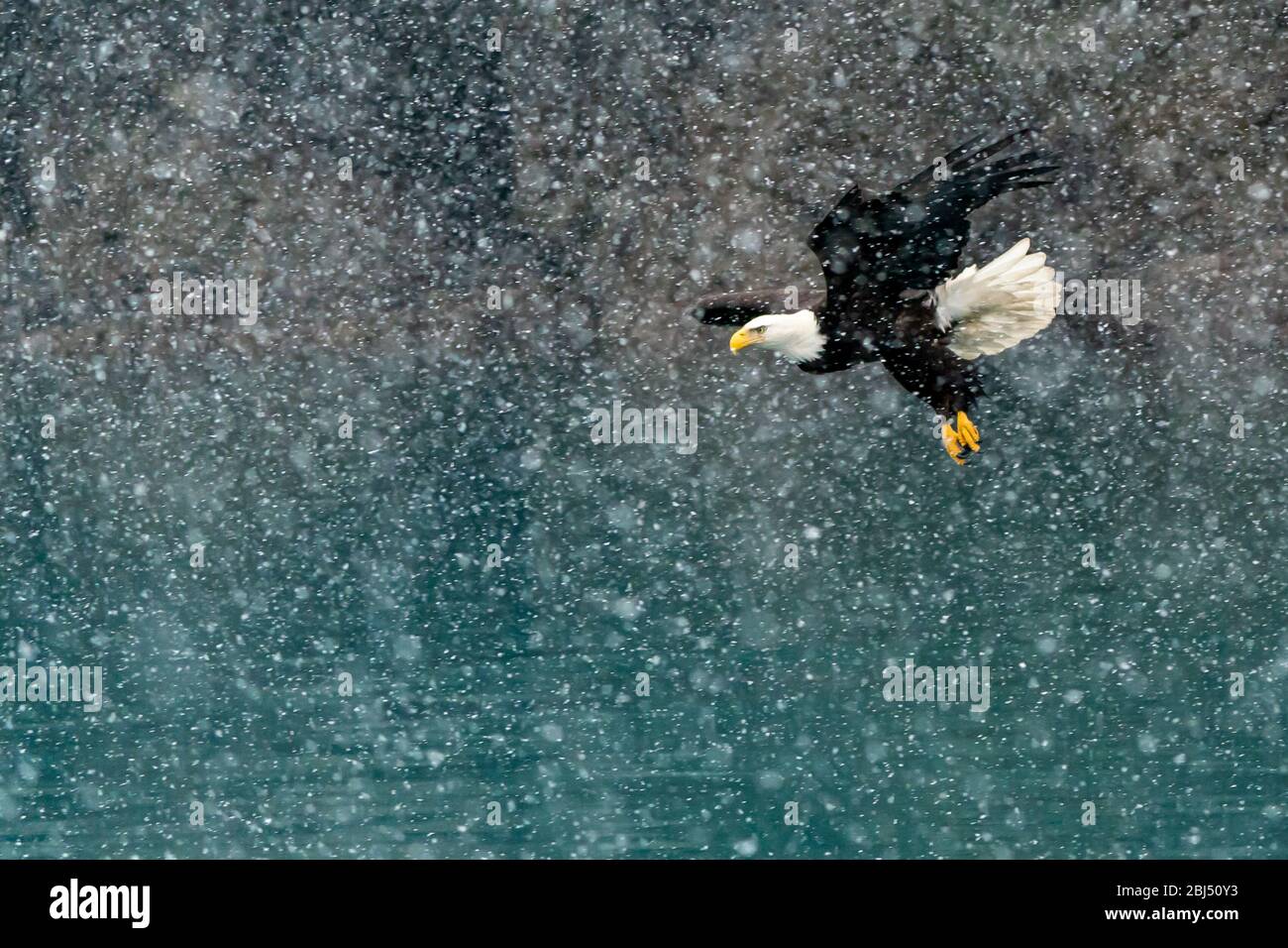 Alaska snowstorm hi-res stock photography and images - Alamy