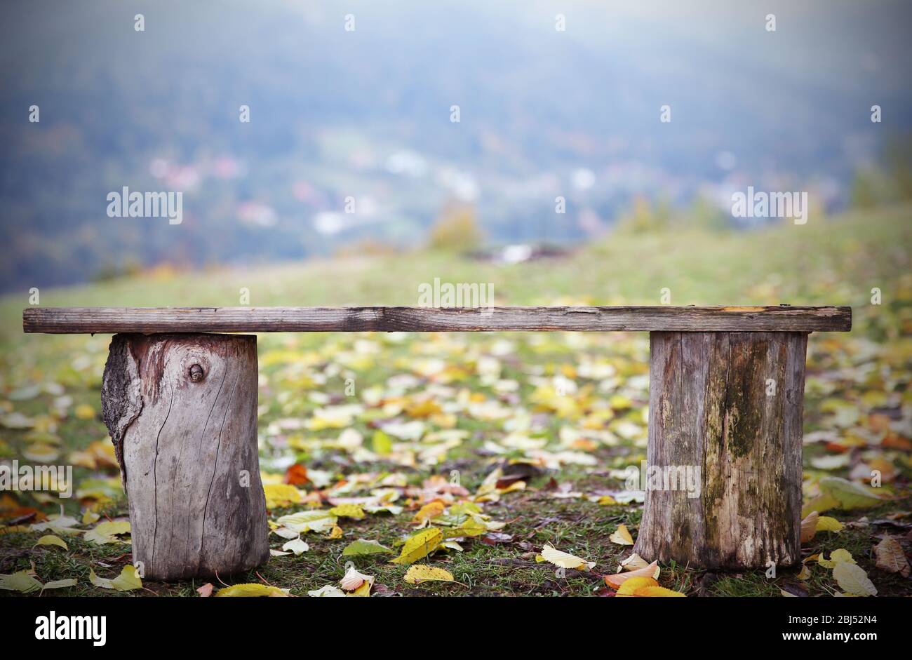 Old bench in formal hi-res stock photography and images - Alamy