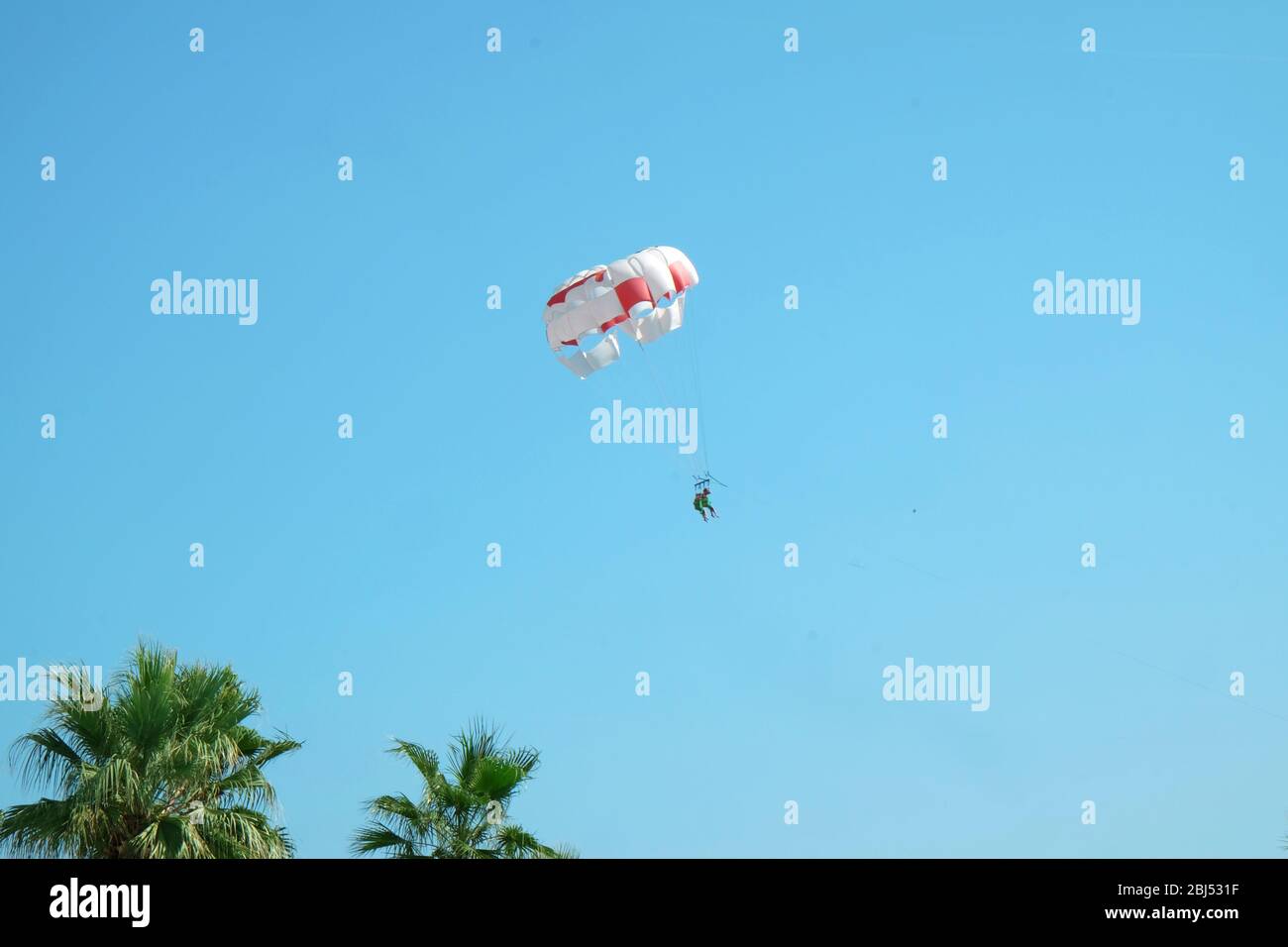 Parachutist in free fall hi-res stock photography and images - Alamy