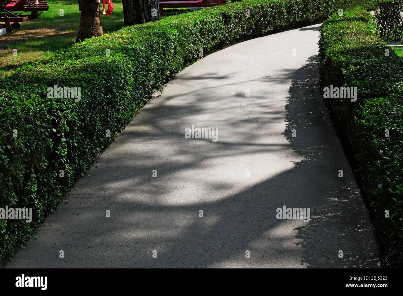 Path in the park with green grass background Stock Photo - Alamy