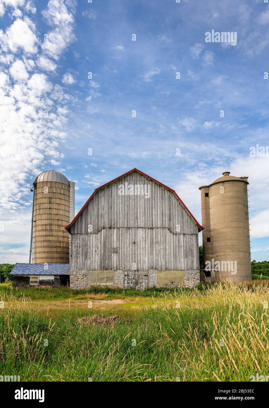 Old white barn with two adjoining silos. Concepts could include ...