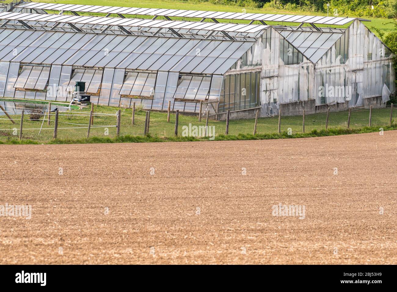 Nursery with greenhouse and field Stock Photo - Alamy