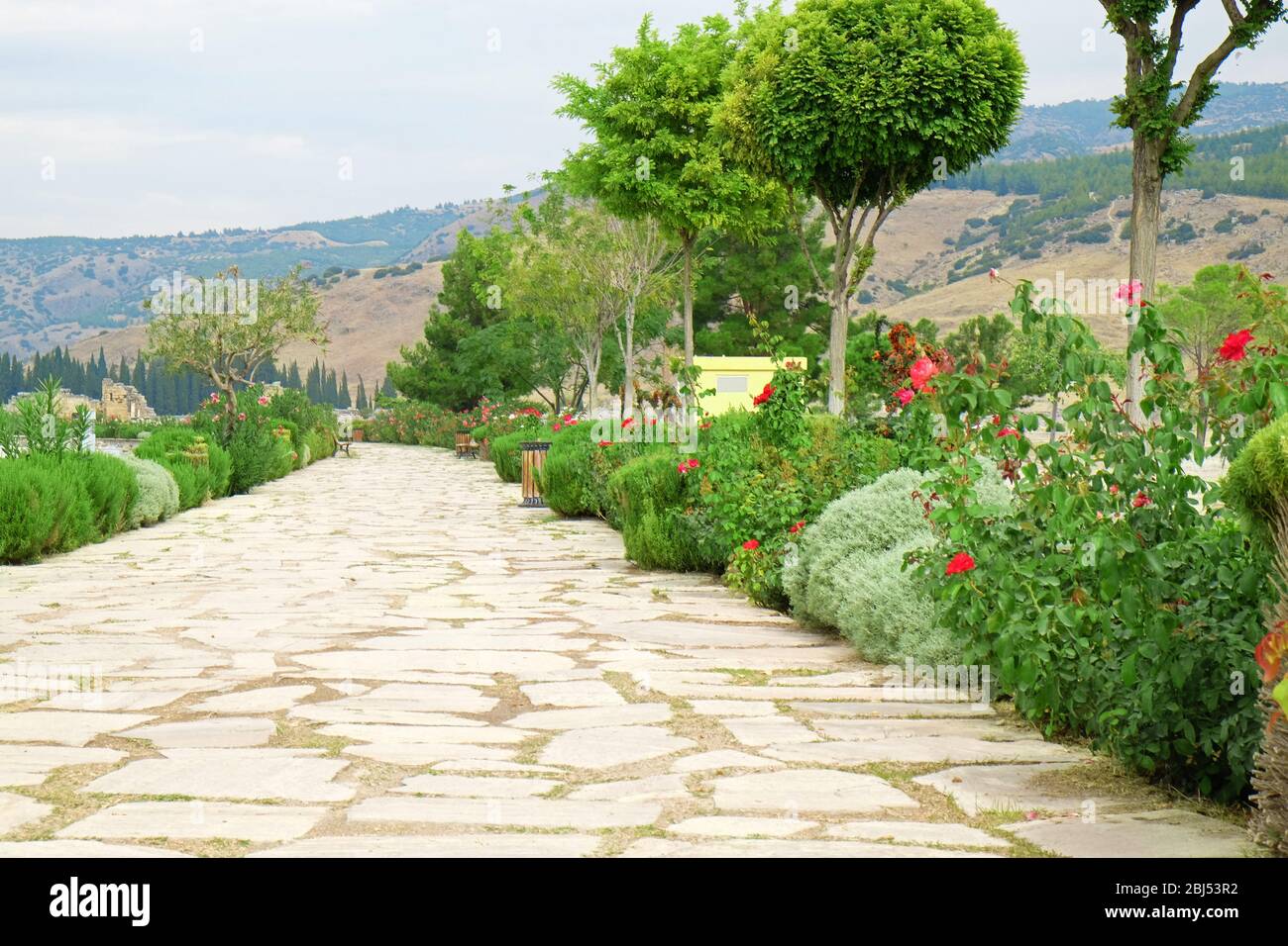 Asphalt path in the park Stock Photo - Alamy