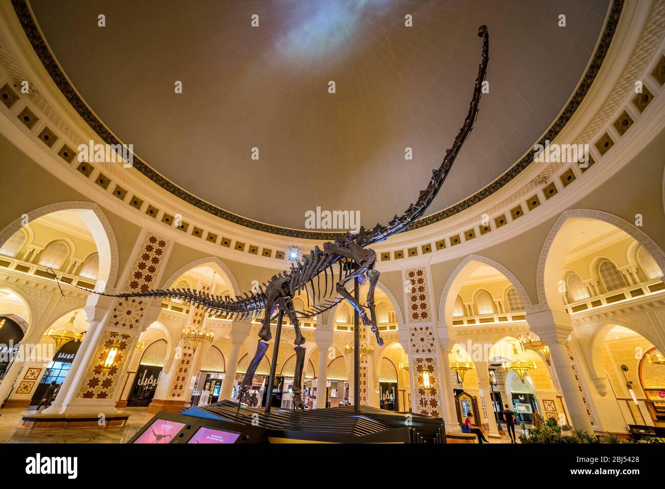 A brontosaurus skeleton towers within an elegant domed ceiling in Dubai ...