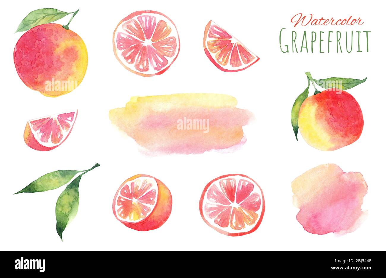 Watercolor set of grapefruit elements, slices, rings and watercolor ...
