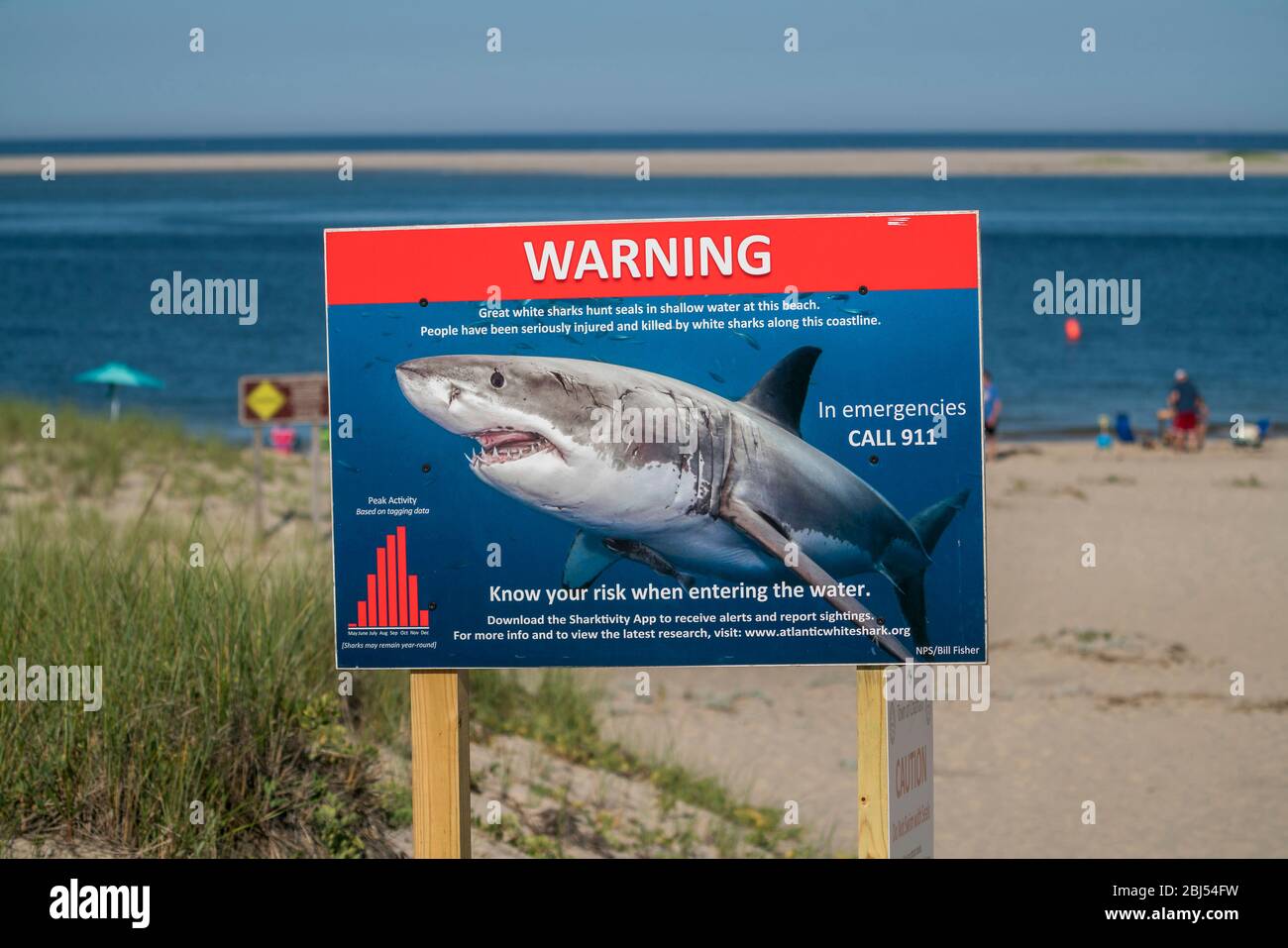 Risk sharks hi-res stock photography and images - Alamy