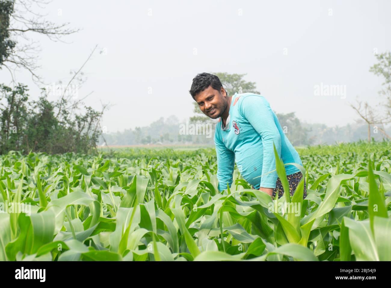 Indian worker indian farming hi-res stock photography and images - Alamy