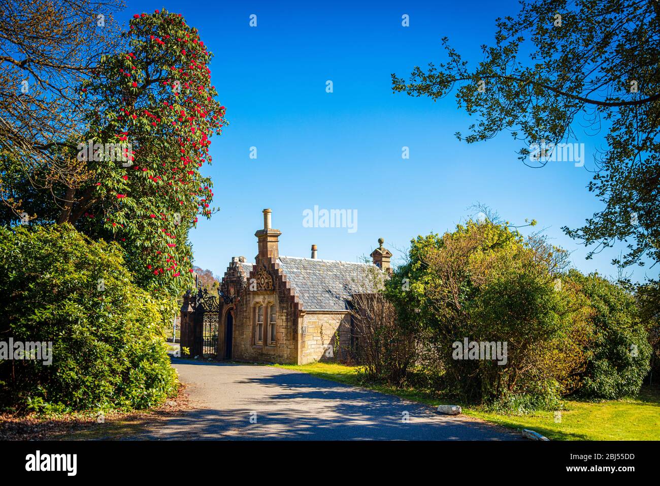 Royal northern and clyde yacht club hi-res stock photography and images ...