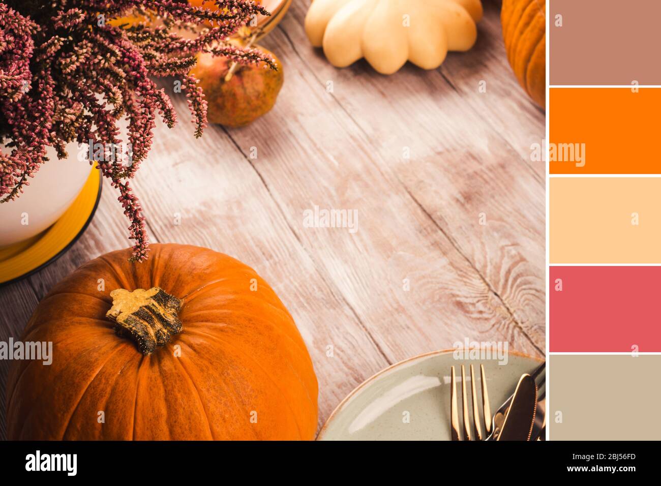 Autumn thanksgiving mood color swatch Stock Photo - Alamy