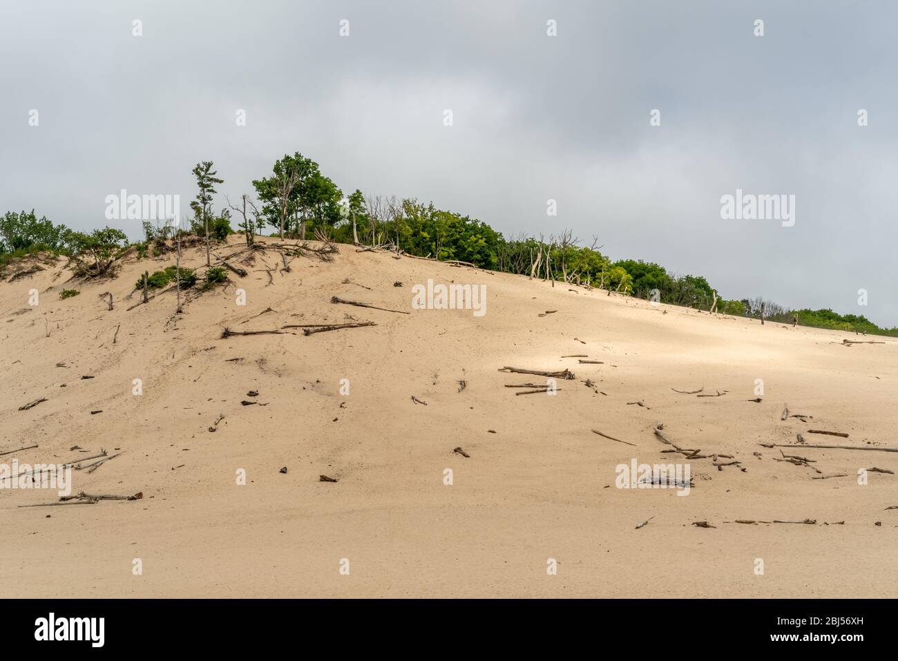 Indiana Dunes National Park sand dunes in Porter, Indiana Stock Photo ...