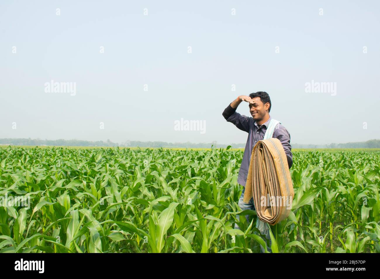 Indian worker indian farming hi-res stock photography and images - Alamy