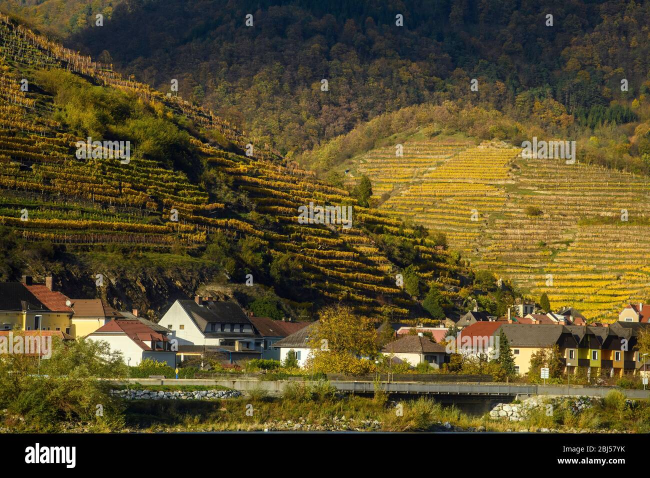 Autumn in the Wachau Valley-, Wachau Valley, Spitz, Lower Austria ...
