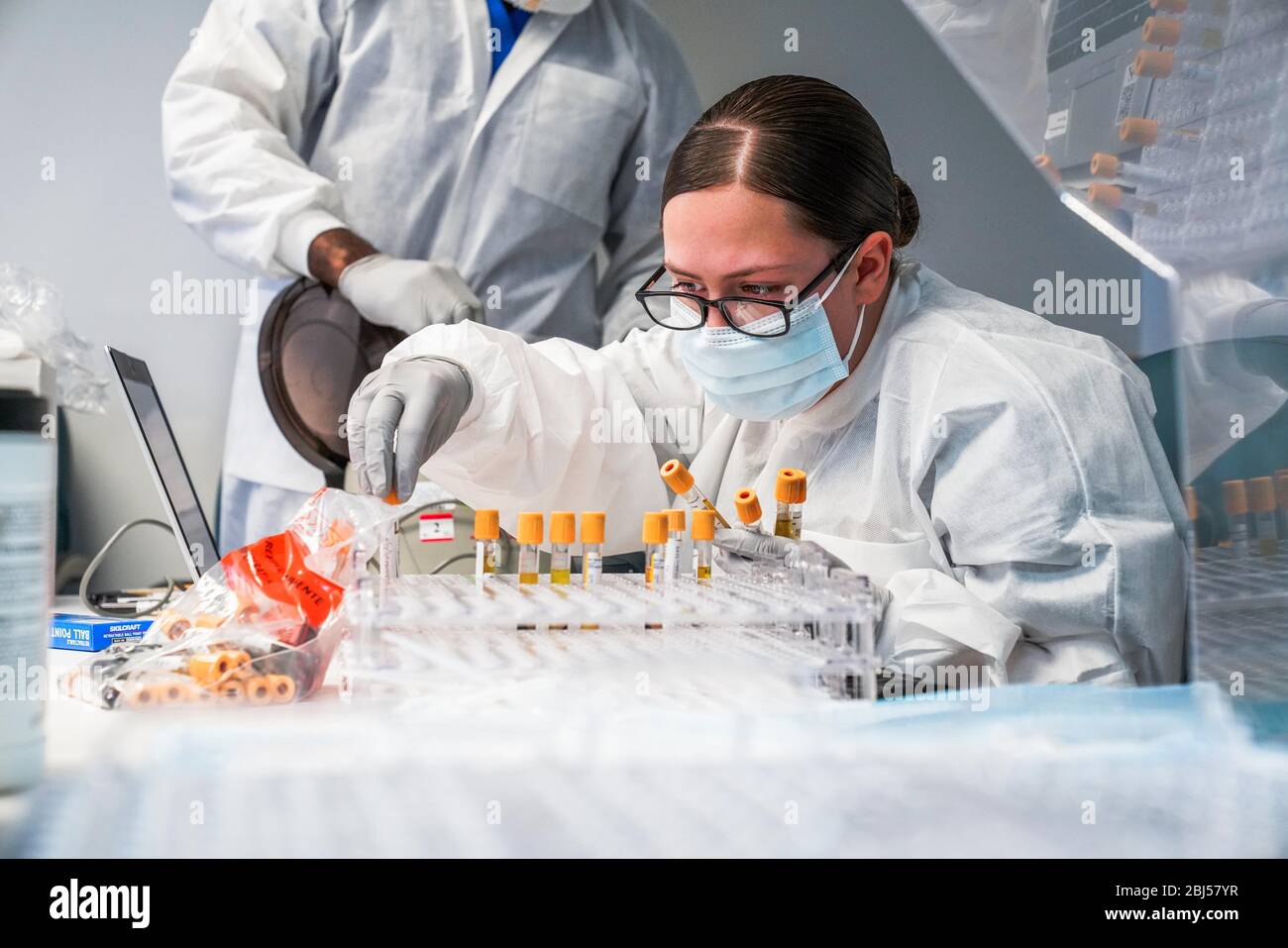 U.S. Navy Hospitalman Karlie Doll, sorts blood sample from sailors ...