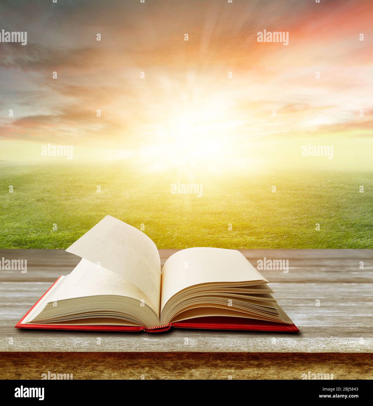 Open book on table in front of grass and sky Stock Photo - Alamy