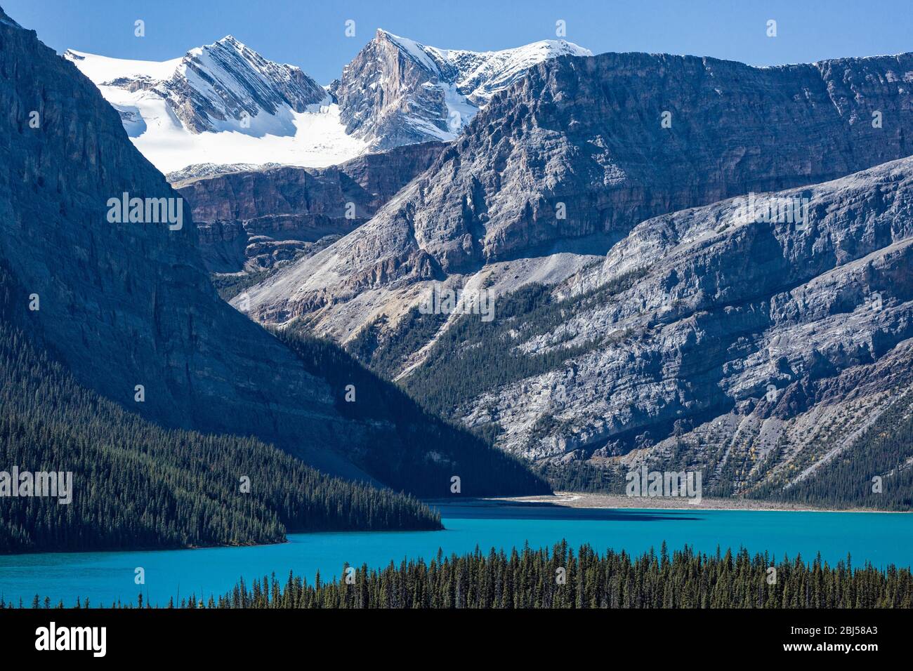 Hector Lake in Banff National Park Alberta Canada Stock Photo - Alamy