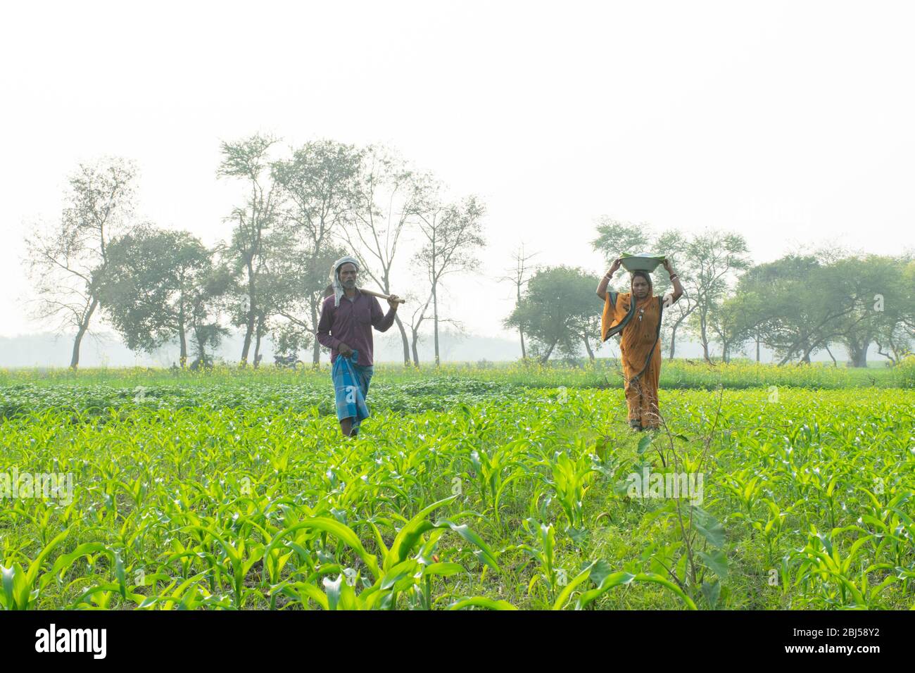 Indian village couple hi-res stock photography and images - Alamy