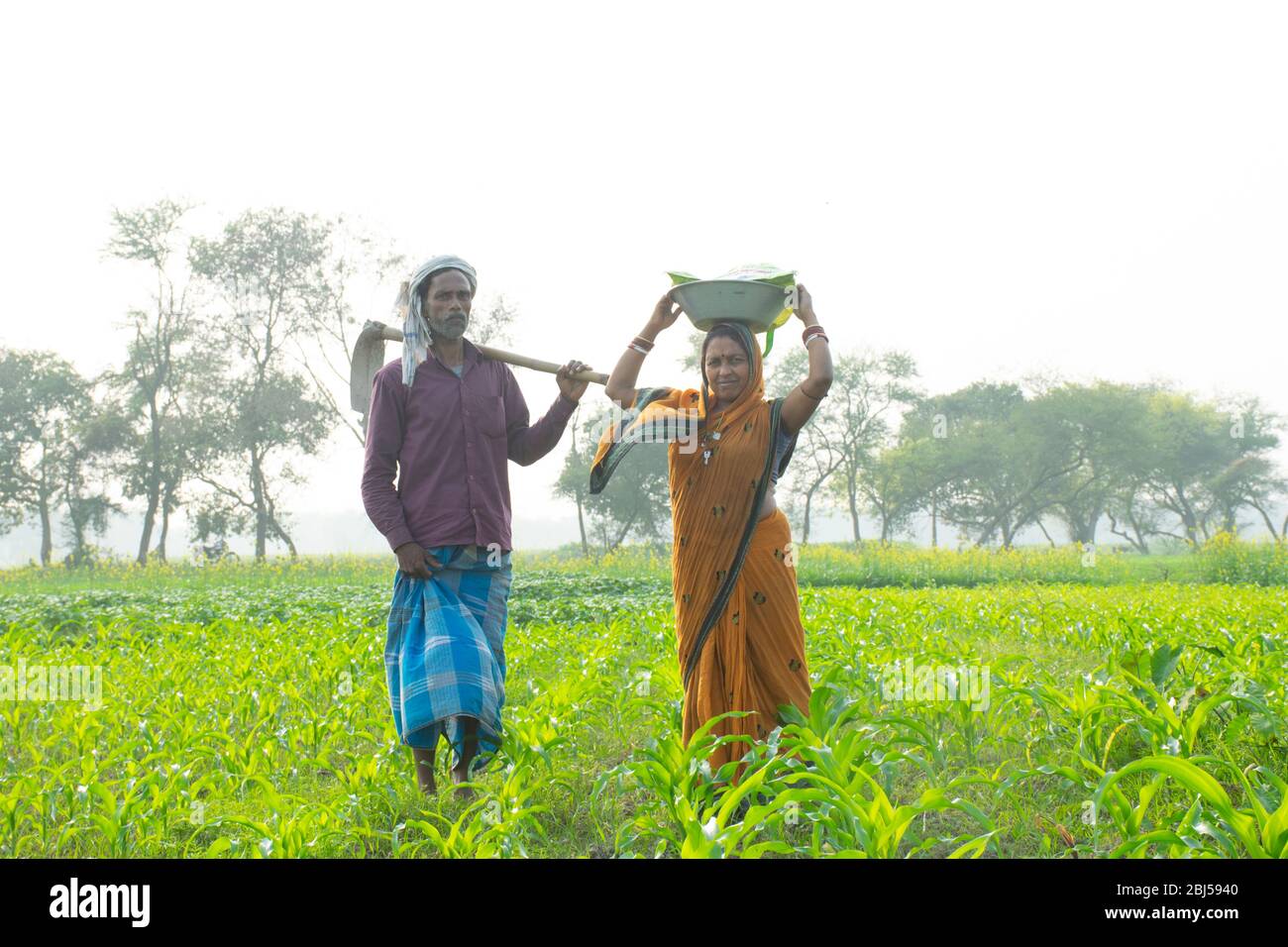 Indian farmer couple working in field Stock Photo - Alamy