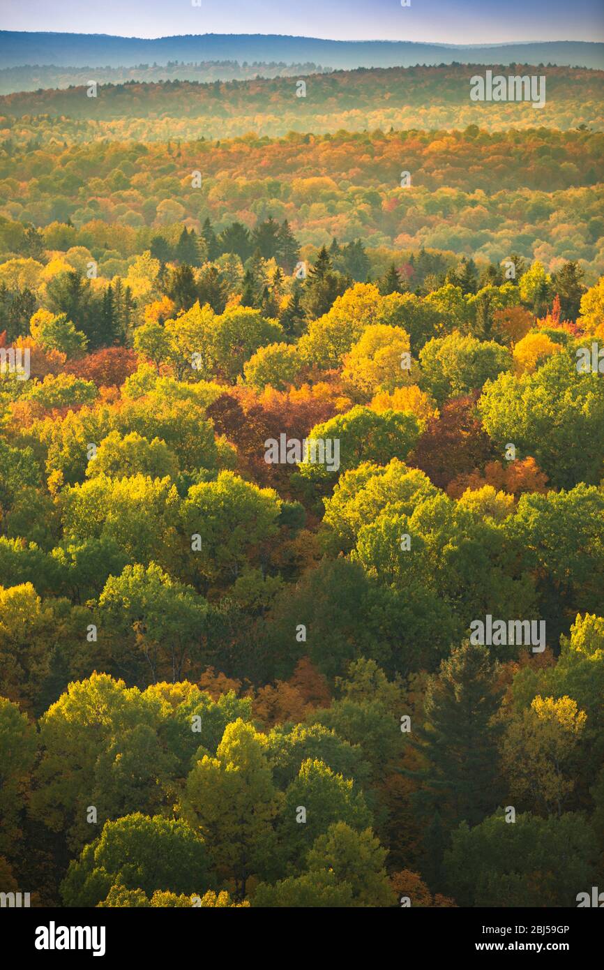 Aerial view of a fall season forest scenic view Stock Photo - Alamy