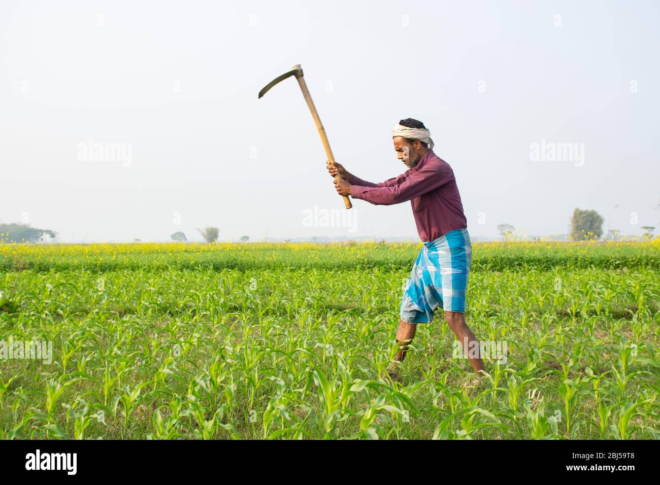 Indian Farmer Working In Agriculture Field Stock Photo - Alamy