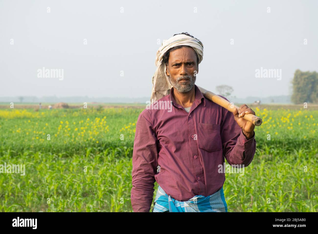 indian farmer, bihar, India Stock Photo - Alamy
