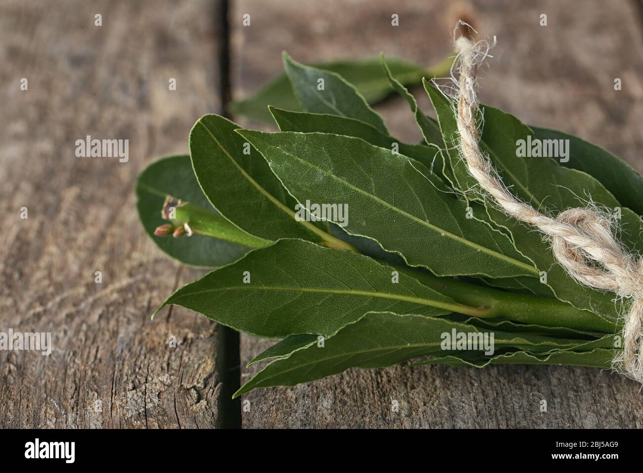 Fresh twigs with bay leaves, on vintage wooden table Stock Photo - Alamy