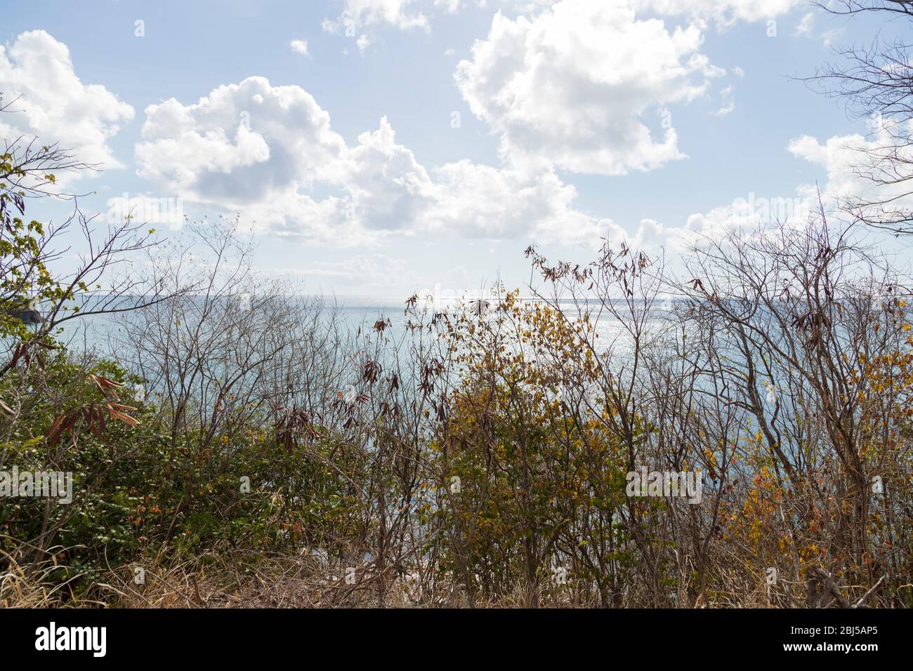 View from the top of Meadow's Battery 1898 looking out at the sea Stock ...