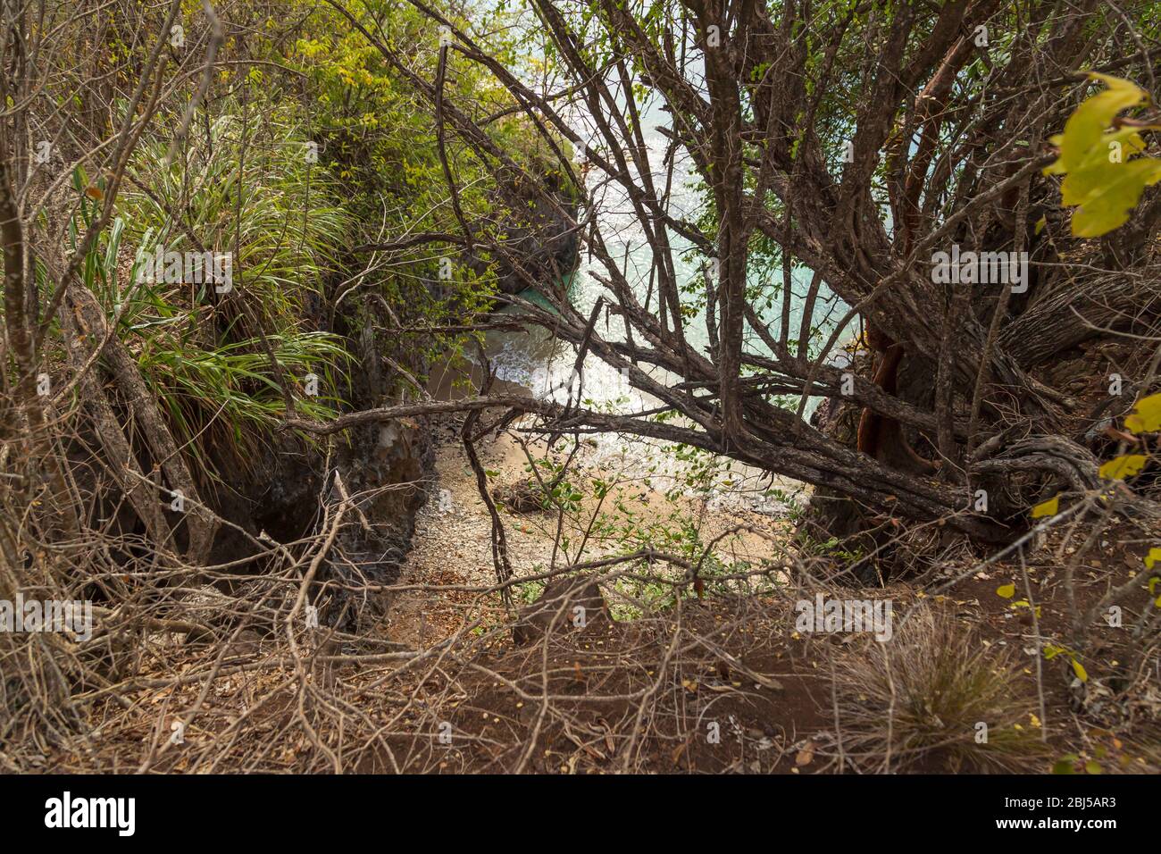 a small cove and the blue sea seen from the top of a steep elevation ...