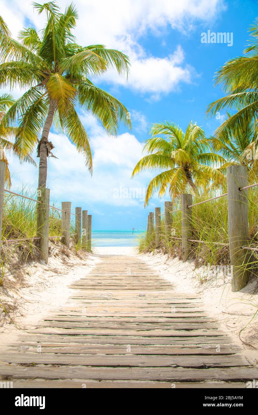 Beautiful boardwalk walking to the beach on an island with palm trees ...