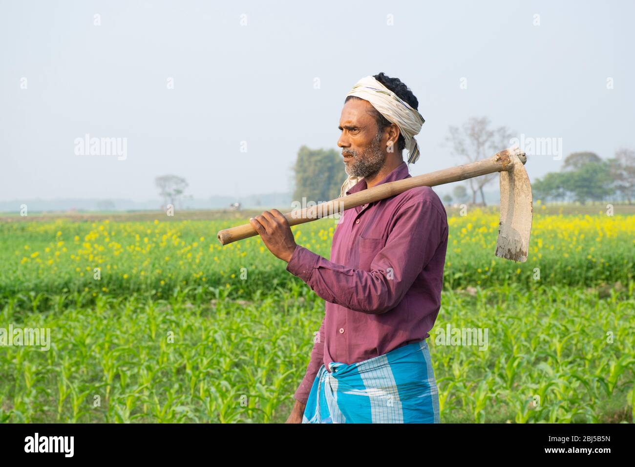 Indian farmer bihar hi-res stock photography and images - Alamy