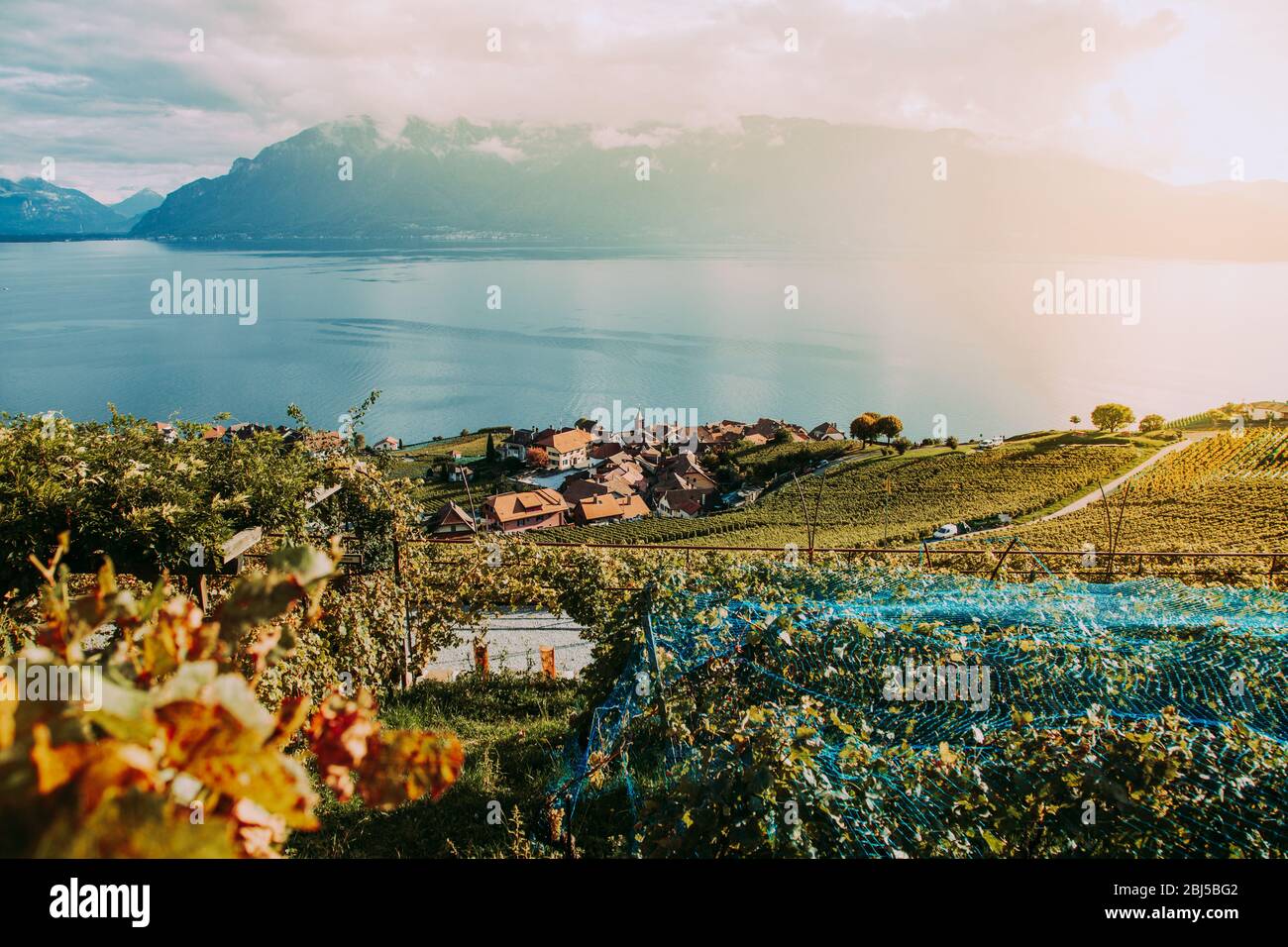 Lavaux, Switzerland: Little town, Lake Geneva and the Swiss Alps ...