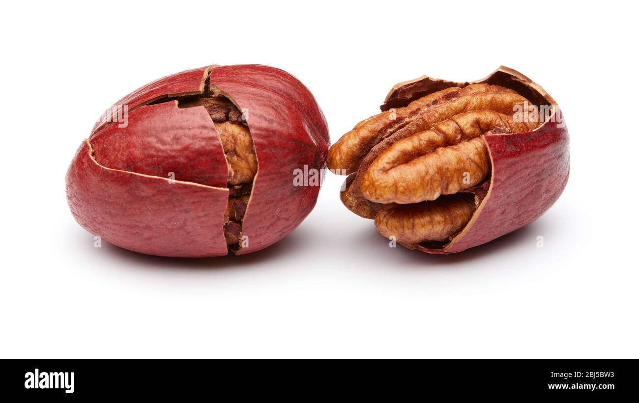 Pecan Isolated on White Background Stock Photo - Alamy