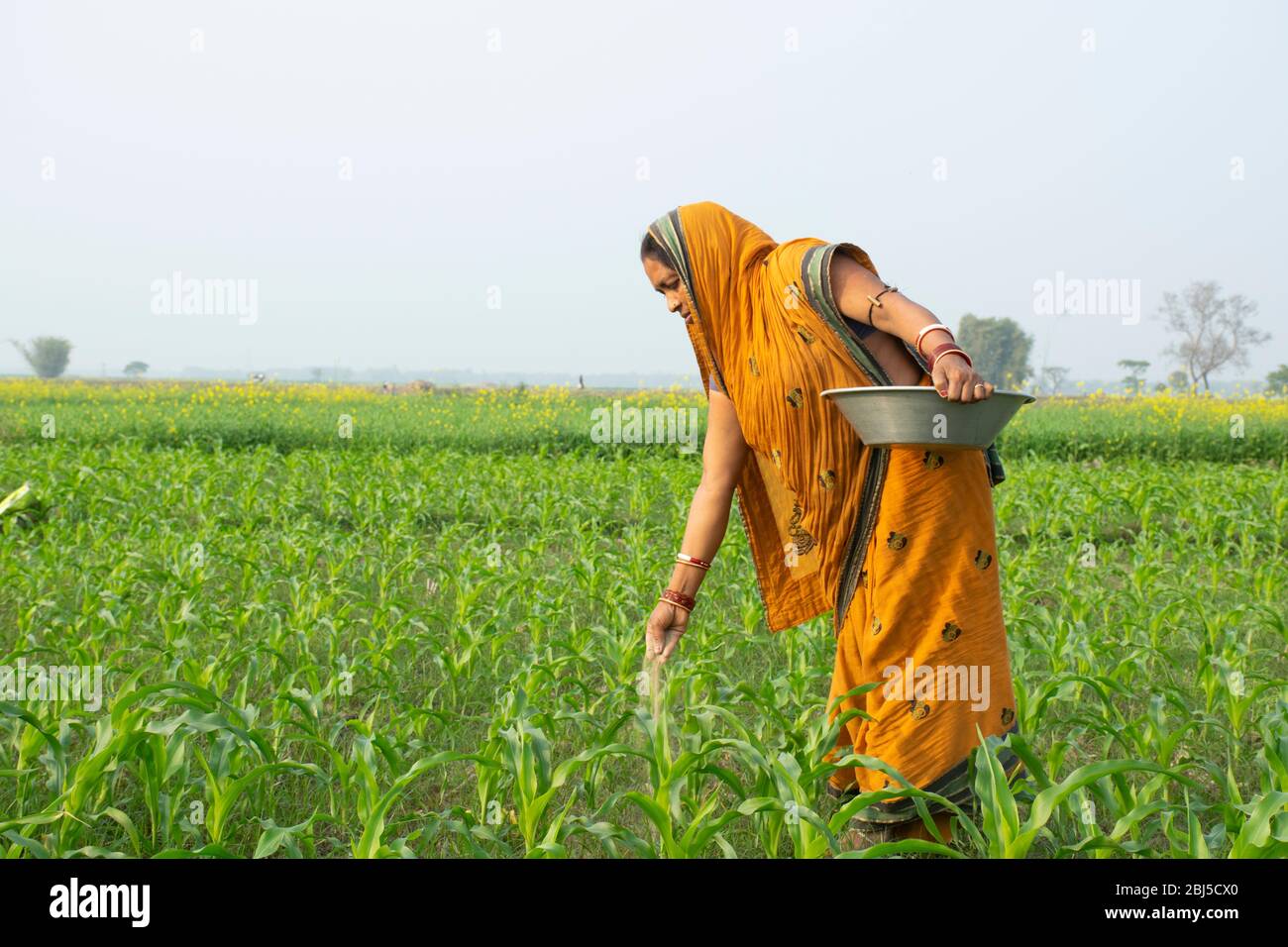 Indian woman working hi-res stock photography and images - Alamy