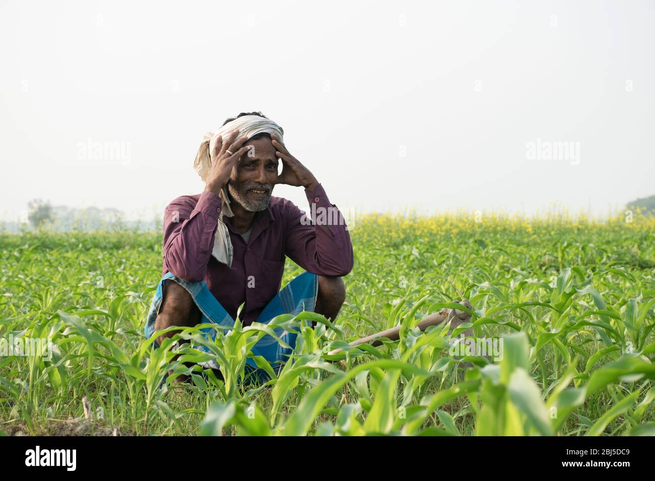 indian farmer crying at field Stock Photo - Alamy