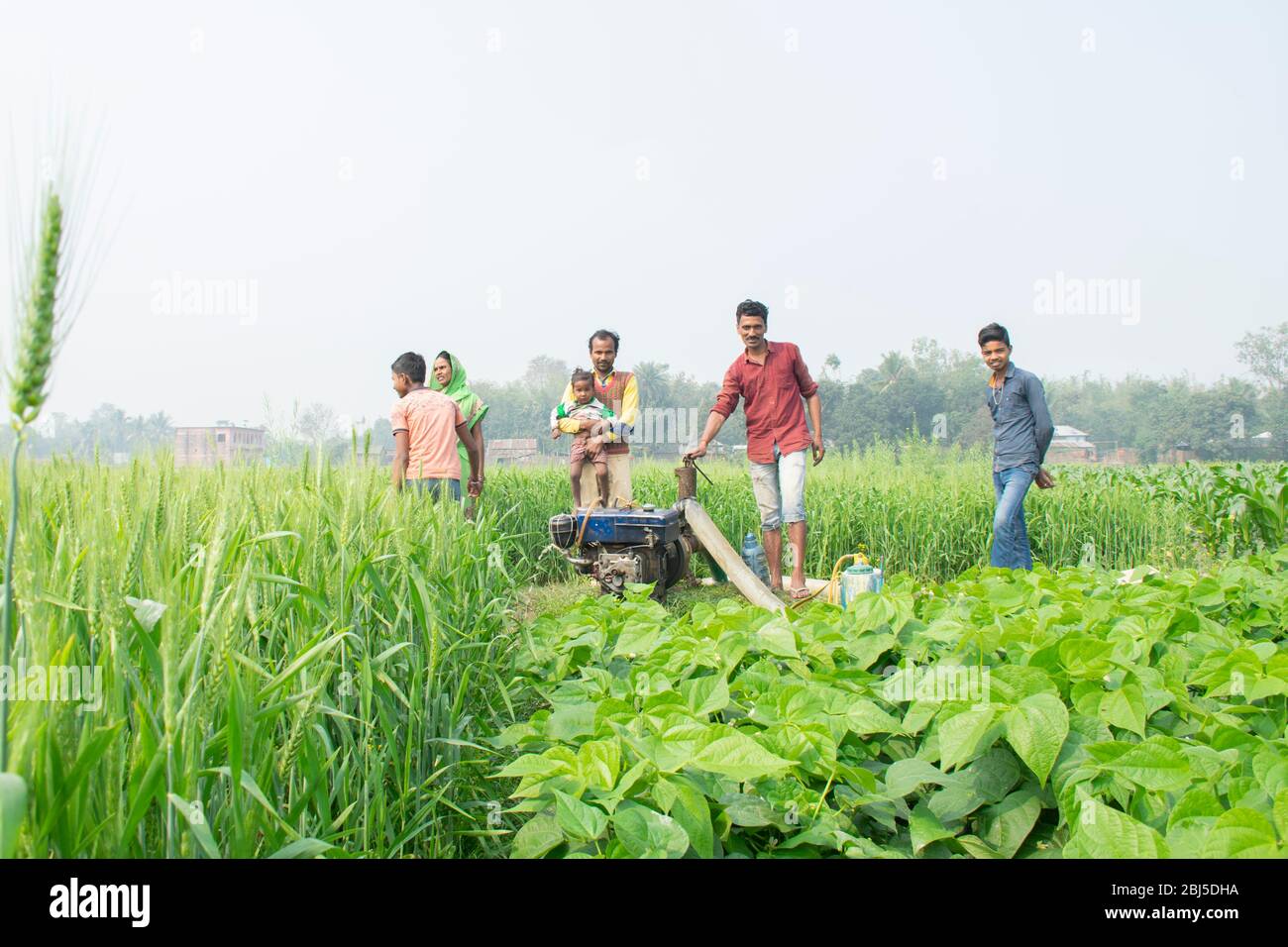 farmer and his family doing agricultural work at farm Stock Photo - Alamy