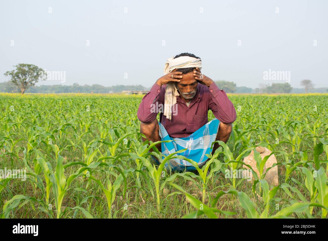 indian farmer crying at field Stock Photo - Alamy