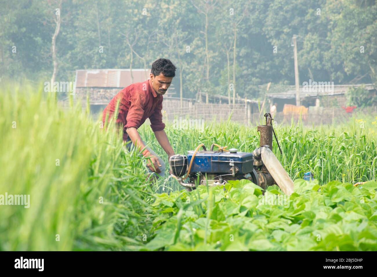 farmer watering farm with pump machine at field Stock Photo - Alamy