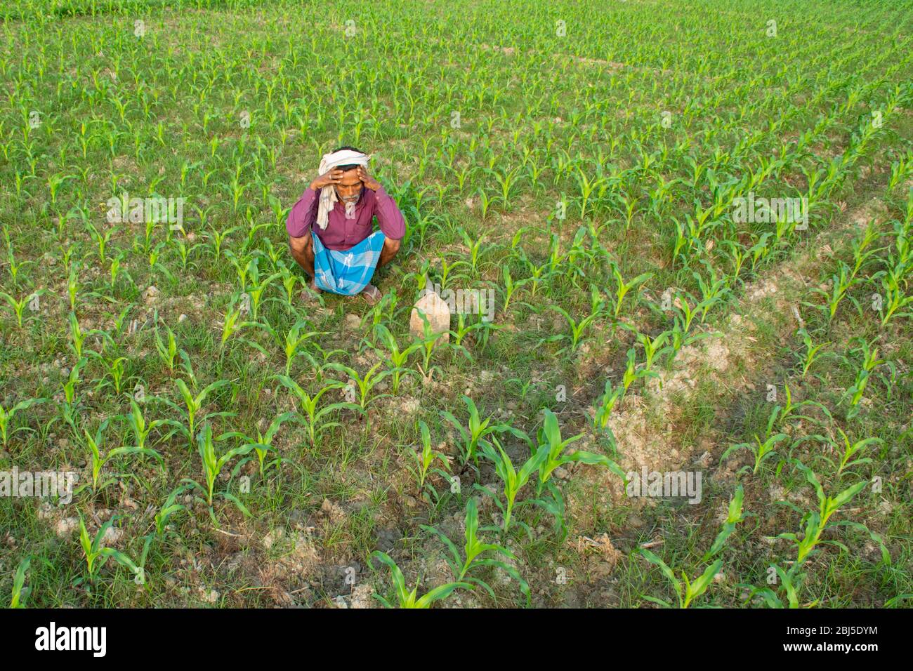 indian farmer crying at field Stock Photo - Alamy