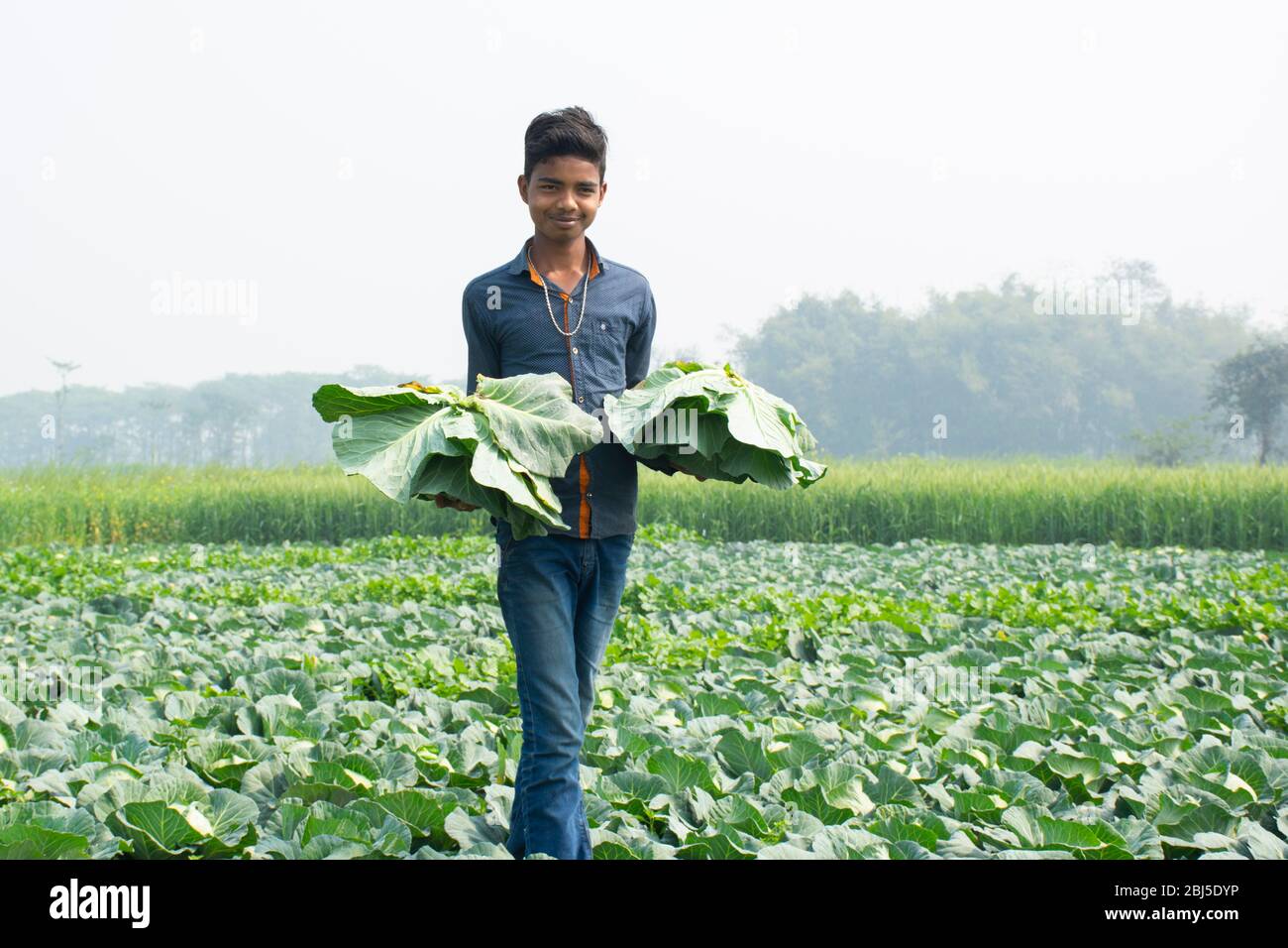 young farmer doing agricultural work at field Stock Photo - Alamy