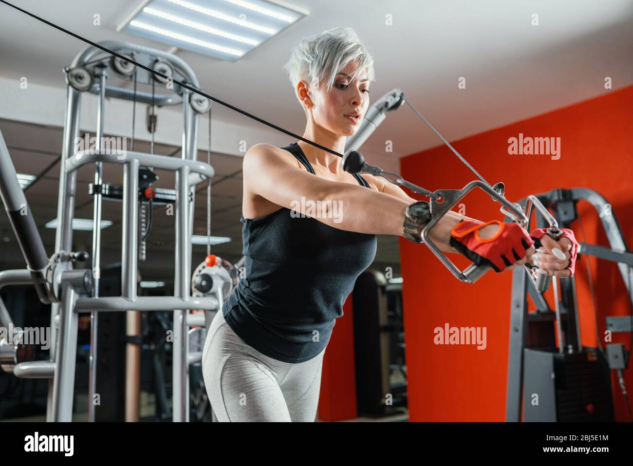 beautiful muscular fit woman exercising building muscles Stock Photo ...