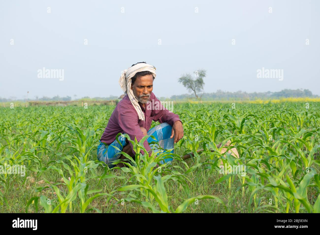 Indian farmer working in field hi-res stock photography and images - Alamy