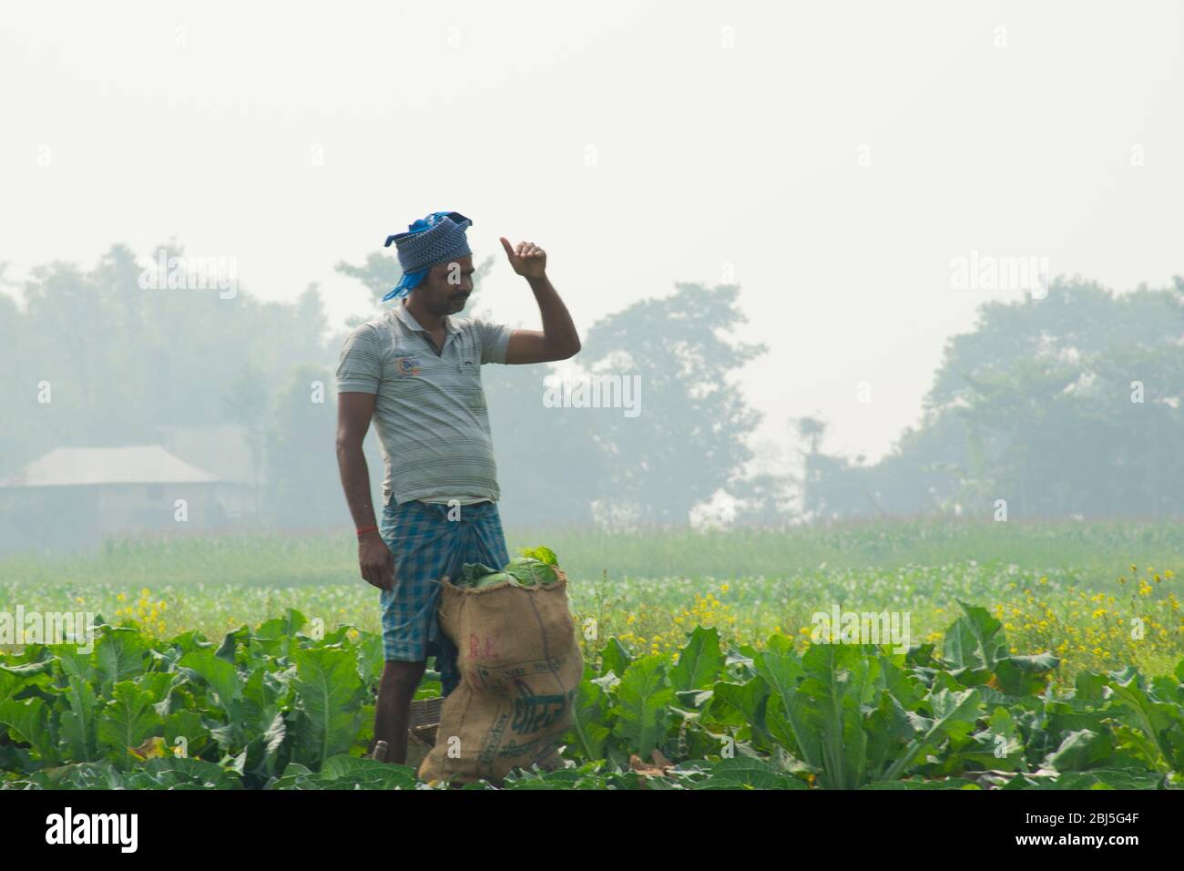 Man farmer work field hi-res stock photography and images - Alamy