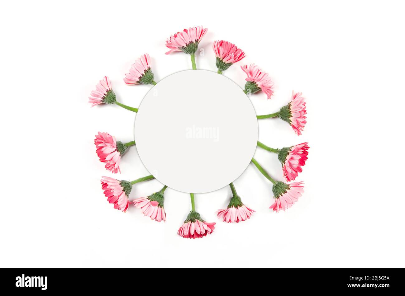 Round floral frame blue Cut Out Stock Images & Pictures - Alamy
