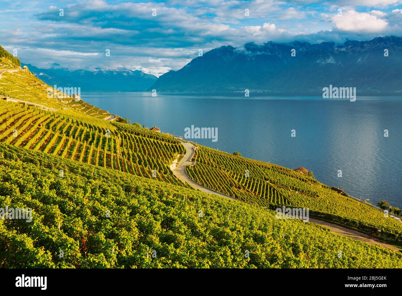 Lavaux, Switzerland: Lake Geneva and the Swiss Alps landscape seen from ...